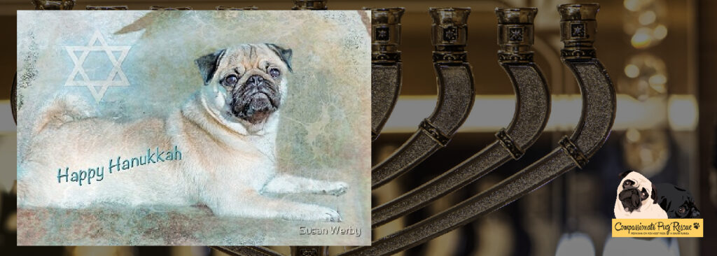 Compassionate Pug Rescue | A Non-Profit All Volunteer Pug Rescue ...